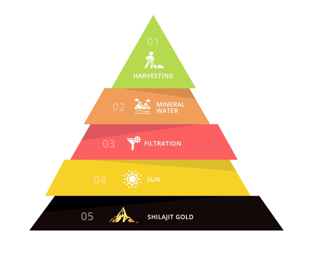 Purification – Blackburn Cupping Clinic